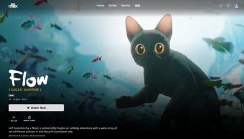 Flow is nu te zien op HBO Max. Zo kun je het bekijken.